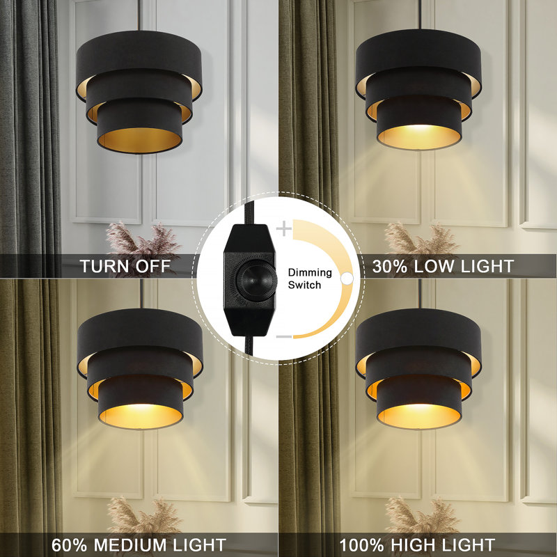 Mercer41 Rochell Diameter 12.2" Plug-in Pendant Light, Hanging Lamp with Dimmable, Hanging Light ...